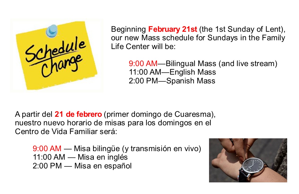 Home - St. Andrew Catholic Church